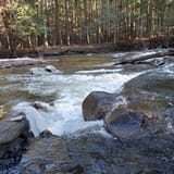 Old Mill Trail, Massachusetts - 314 Reviews, Map | AllTrails