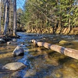 Old Mill Trail, Massachusetts - 314 Reviews, Map | AllTrails