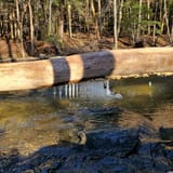 Old Mill Trail, Massachusetts - 314 Reviews, Map | AllTrails