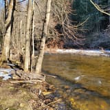 Old Mill Trail, Massachusetts - 314 Reviews, Map | AllTrails