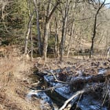Old Mill Trail, Massachusetts - 314 Reviews, Map | AllTrails