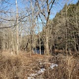 Old Mill Trail, Massachusetts - 314 Reviews, Map | AllTrails