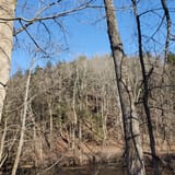 Old Mill Trail, Massachusetts - 314 Reviews, Map | AllTrails