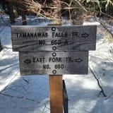 Tamanawas Falls Trail, Oregon - 5,066 Reviews, Map | AllTrails