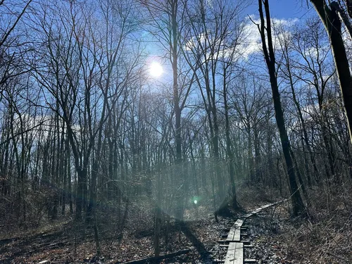 Best Hikes and Trails in Tallman Mountain State Park | AllTrails