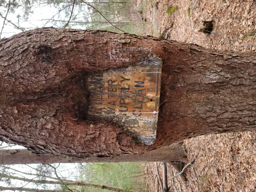 Best Lake Trails in Meshomasic State Forest | AllTrails