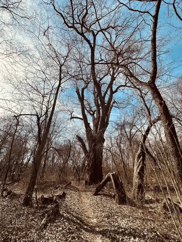 Best Lake Trails in George Wyth State Park | AllTrails