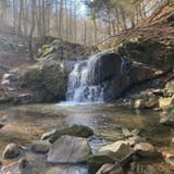 Cascade Falls Loop Trail, Maryland - 2,901 Reviews, Map | AllTrails