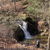 Cascade Falls Loop Trail, Maryland - 2,901 Reviews, Map | AllTrails