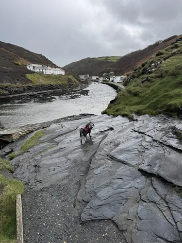 Best Waterfall Trails in Boscastle | AllTrails