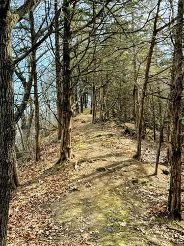 Best Hikes and Trails in New Albin | AllTrails