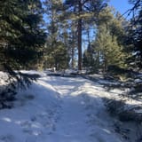 Independence Mountain Trail, Colorado - 4,887 Reviews, Map | AllTrails