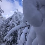 Memory Grove Trail, Utah - 1,366 Reviews, Map | AllTrails