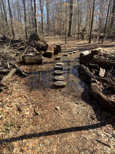 Best Hikes and Trails in Blue Bell | AllTrails