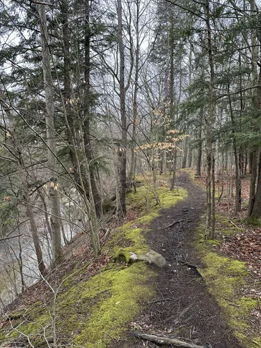 Best Hikes and Trails in Darien Lakes State Park | AllTrails