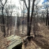 Van Cortlandt Park Trail, New York - 385 Reviews, Map | AllTrails