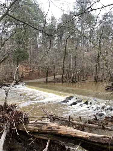10 Best Hikes and Trails in Duke Forest Korstian Division | AllTrails