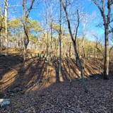 Kaintuck Hollow Acorn Section Trail, Missouri - 147 Reviews, Map ...