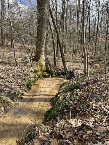 Best Hikes and Trails in Colfax | AllTrails