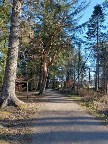 10 Best Trails and Hikes in Aberdeen | AllTrails