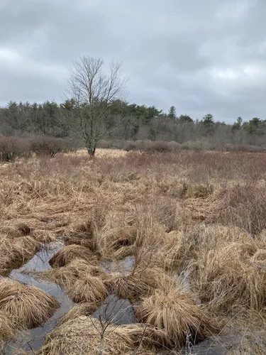 Best Hikes and Trails in Colby/Phillips Property | AllTrails