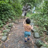 Angelito Trail, East Region, Puerto Rico - 656 Reviews, Map | AllTrails