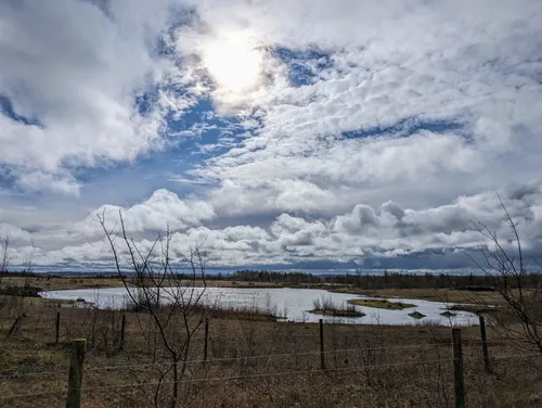 Best Hikes and Trails in Pleasley Pit Country Park | AllTrails