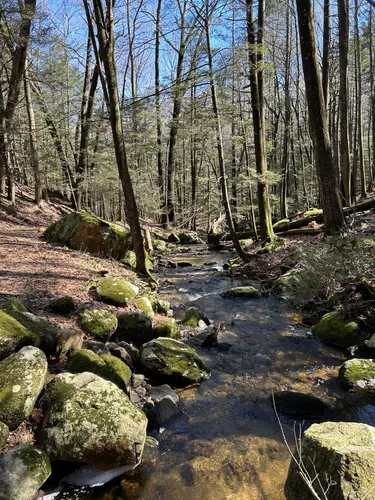 Best Hikes and Trails in Webb Mountain Park | AllTrails