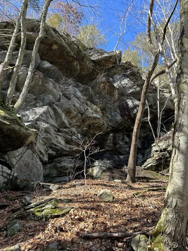 Best Hikes and Trails in Webb Mountain Park | AllTrails