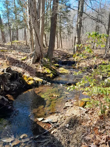 Best Horseback Riding Trails in Kent Cliffs | AllTrails