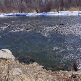 Neversink Trail, Colorado - 234 Reviews, Map | AllTrails