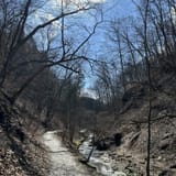 Fall Run Trail, Pennsylvania - 841 Reviews, Map | AllTrails