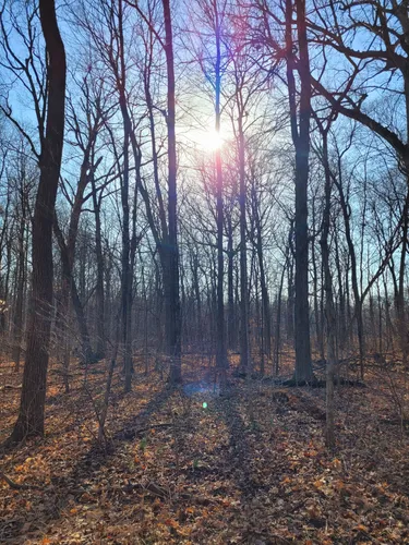 Best Hikes and Trails in Waldron | AllTrails