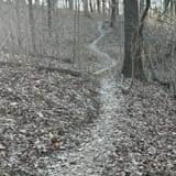 White Bison Loop, Missouri - 2,287 Reviews, Map | AllTrails