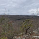 Whitestone Cliffs Trail, Connecticut - 609 Reviews, Map | AllTrails