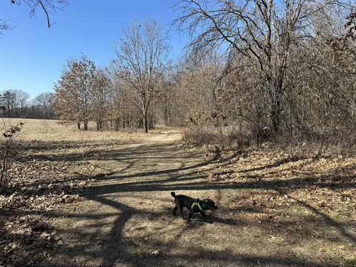 Best Hikes and Trails in Walking Iron County Park | AllTrails