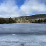 Benedict Pond Loop Trail, Massachusetts - 695 Reviews, Map | AllTrails