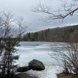 Benedict Pond Loop Trail, Massachusetts - 695 Reviews, Map | AllTrails