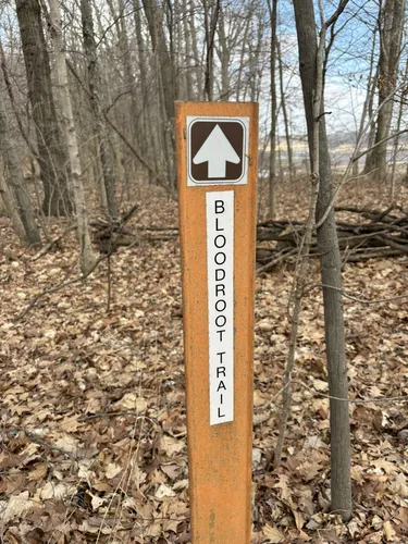 Best Hikes and Trails in Salamonie Lake | AllTrails