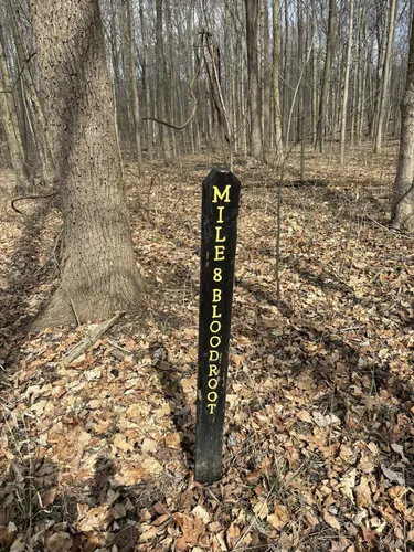 Best Hikes and Trails in Salamonie Lake | AllTrails