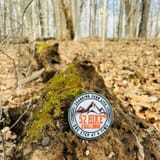 Bloodroot Trail, Indiana - 585 Reviews, Map | AllTrails