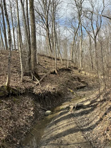 Best Hikes and Trails in Salamonie Lake | AllTrails