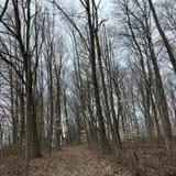 Bloodroot Trail, Indiana - 578 Reviews, Map | AllTrails