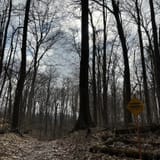Bloodroot Trail, Indiana - 585 Reviews, Map | AllTrails