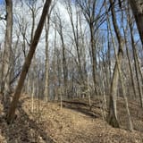 Bloodroot Trail, Indiana - 585 Reviews, Map | AllTrails