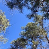 Batsto Lake Trail, New Jersey - 1,583 Reviews, Map | AllTrails