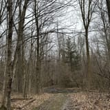 Bloodroot Trail, Indiana - 585 Reviews, Map | AllTrails