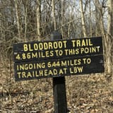 Bloodroot Trail, Indiana - 585 Reviews, Map | AllTrails