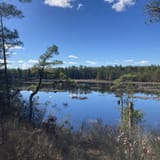 Batsto Lake Trail, New Jersey - 1,583 Reviews, Map | AllTrails