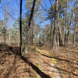 Batsto Lake Trail, New Jersey - 1,583 Reviews, Map | AllTrails